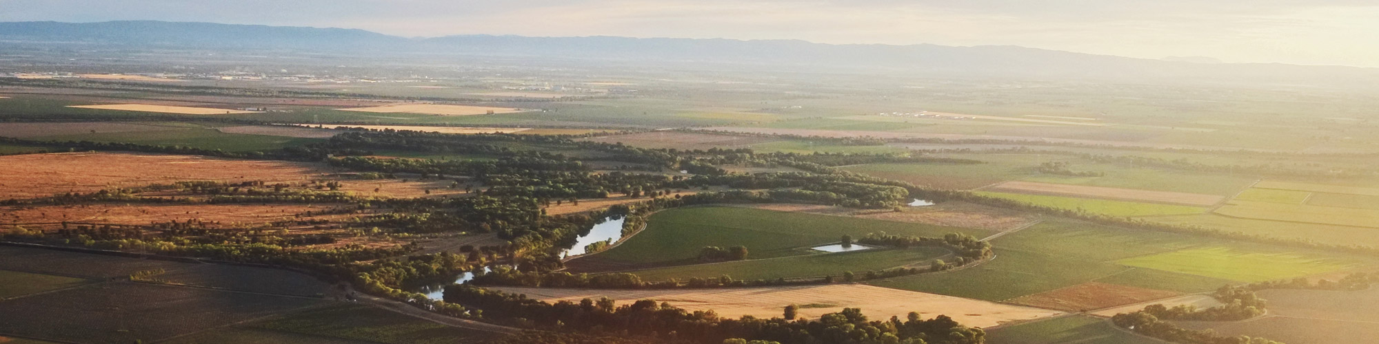 News Release: Dignity Health Announces Developer and Architecture Firm ...